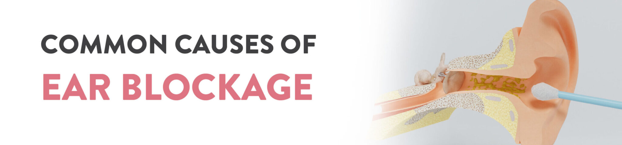 Understanding the Difference between Sinusitis and Rhinitis - Ear Nose ...